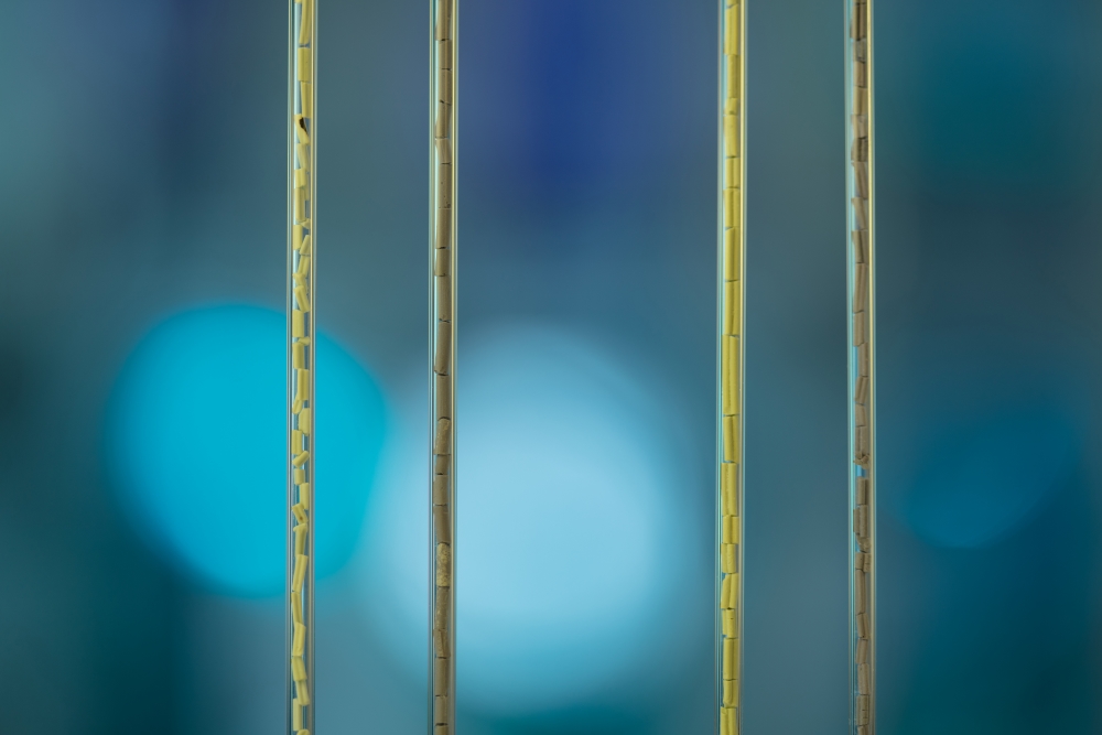 How KAUST Catalysis Center is leveraging Avantium’s technology to ...